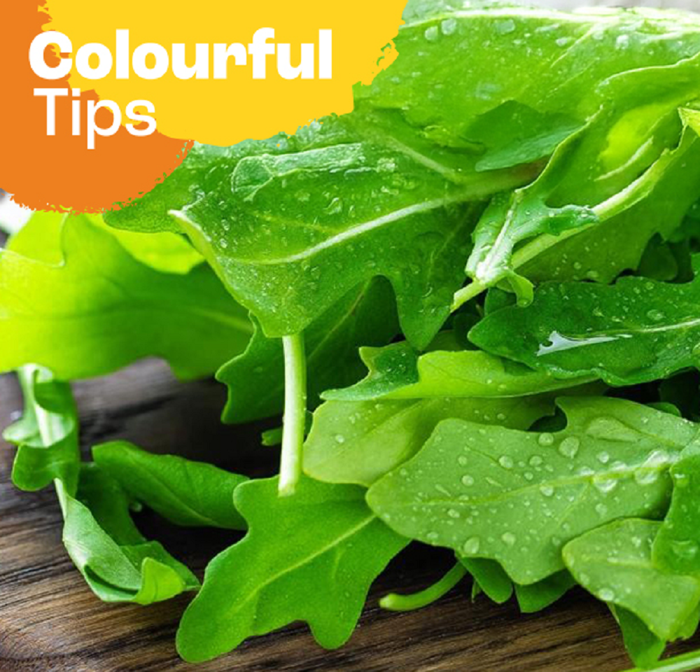 ColourfulTip - Juni - Eisberg Country